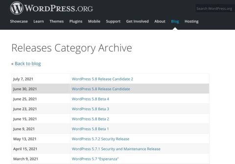 WordPress 5.8 Update Juli 2021 + How to Update | RAABAUKE